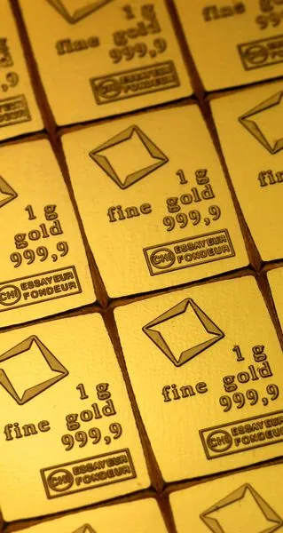 CombiBar - Gold and Silver Bullion CombiBars | ESG CombiBar.com
